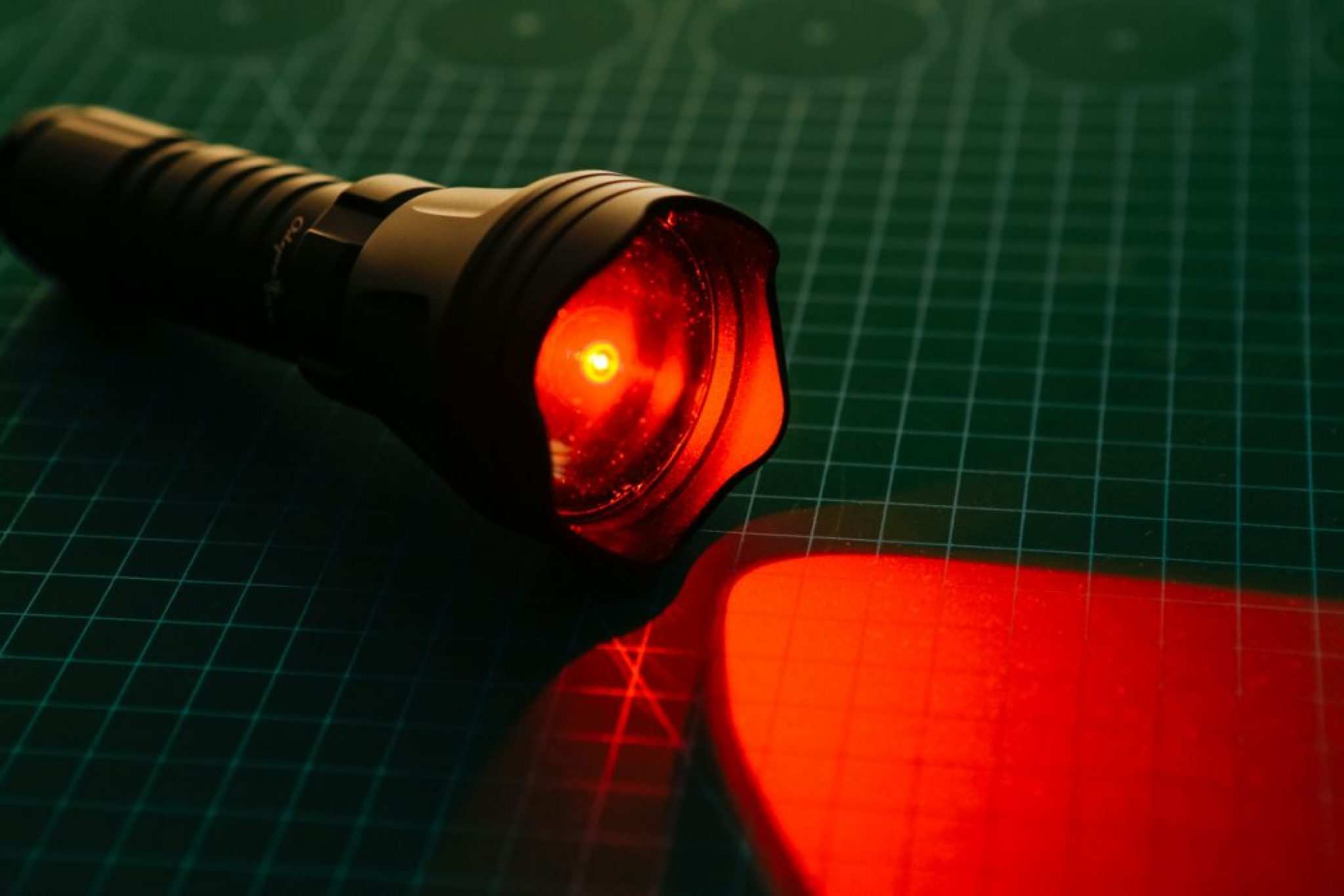 Red Light For Coyote Hunting: The Ultimate Guide 2024 - Coyote Hunting